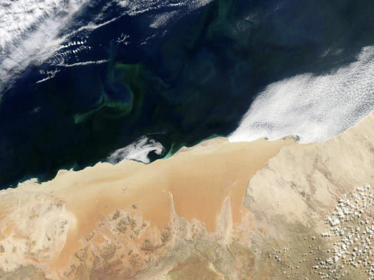 The Hyphen Project and Africa’s Green Paradox – The McGill Journal of ...